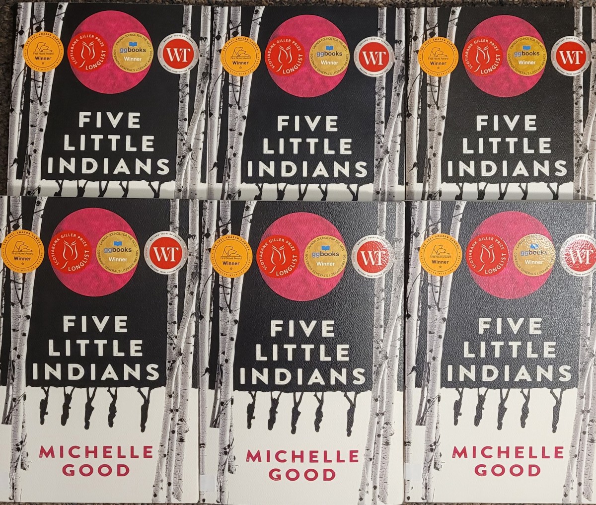 Book Study: Five Little Indians – Early Learning Quality Initiative