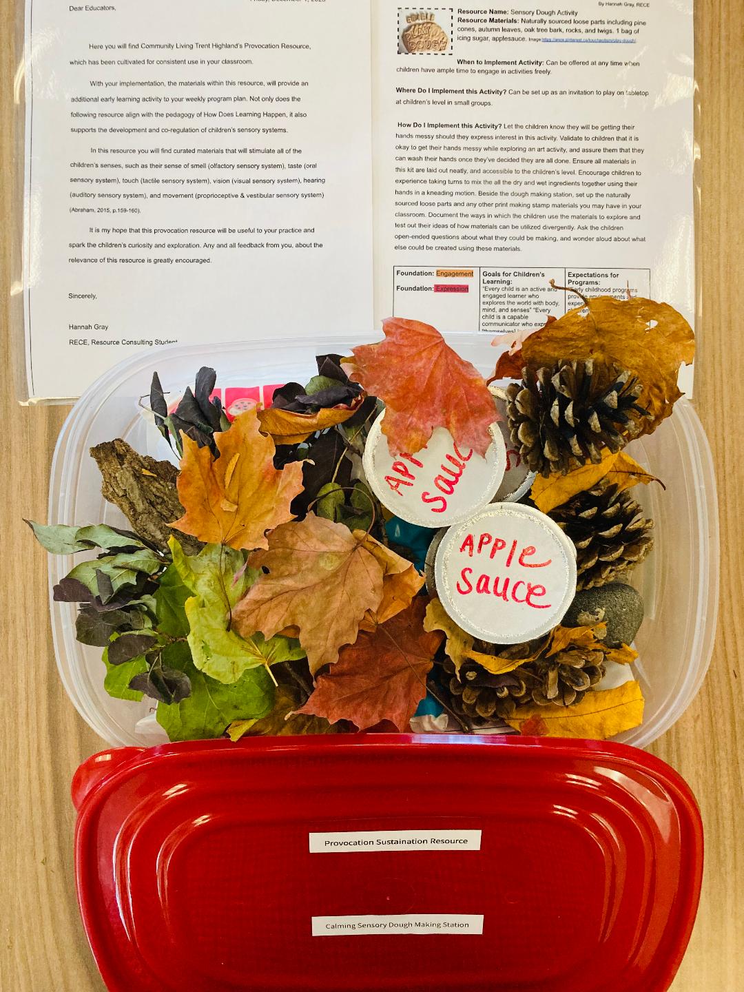 Provocation Resource Kits Available – Early Learning Quality Initiative